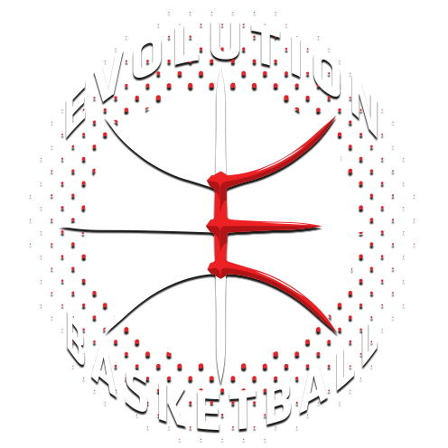 Evolution Basketball : Evolution 2
