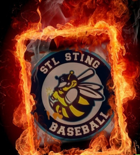 St.Louis Sting Baseball : St. Louis Sting Baseball