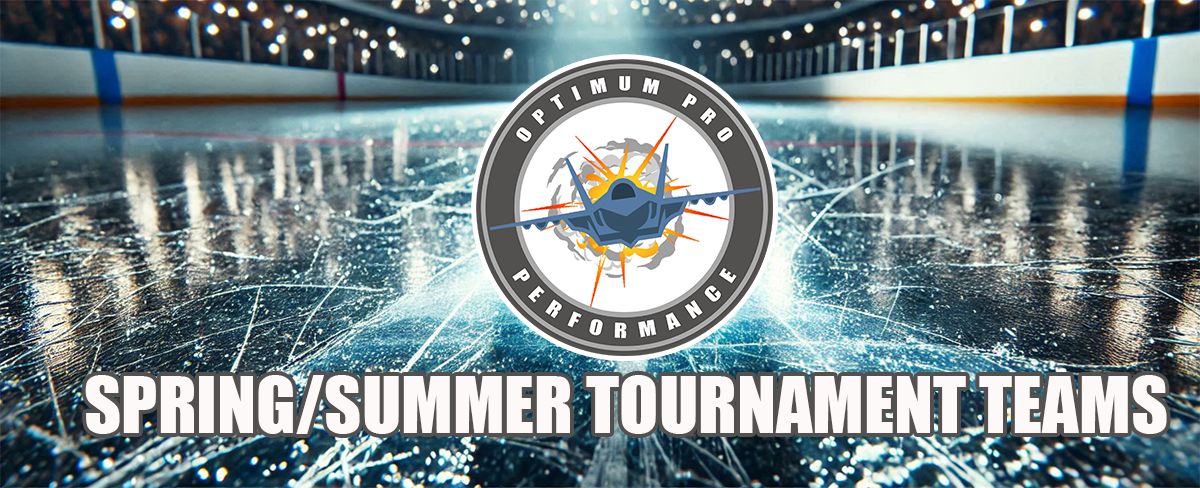 LeagueApps Member Portal