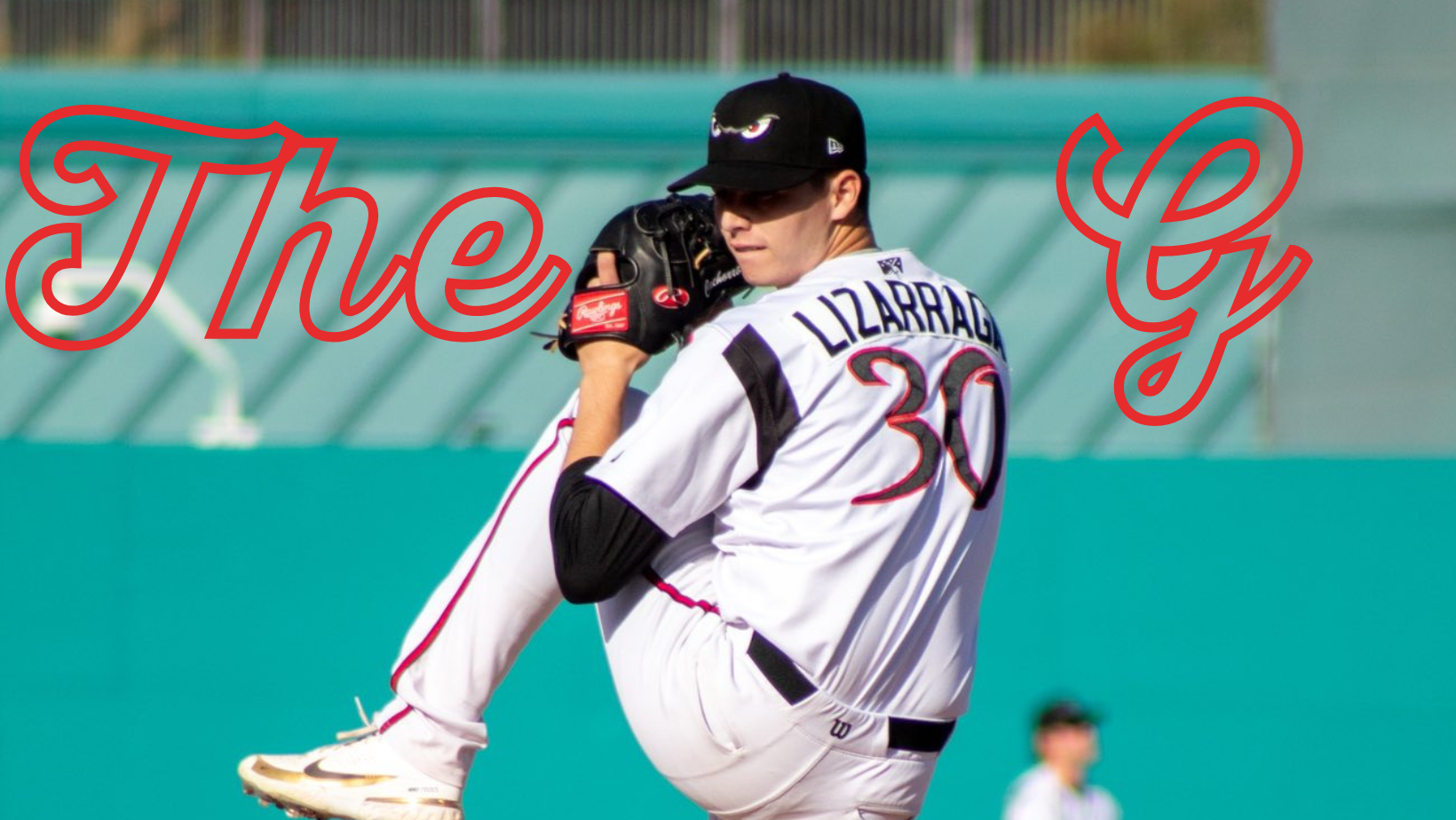 LeagueApps Member Portal