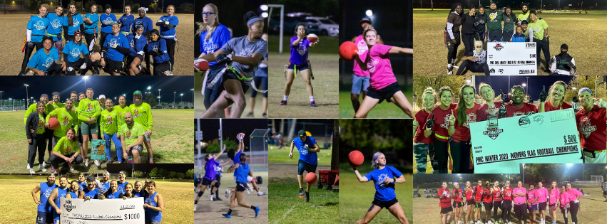 LeagueApps Member Portal