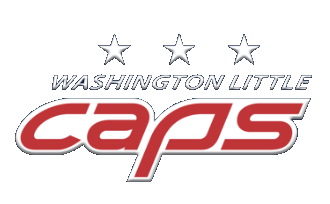 LeagueApps Member Portal