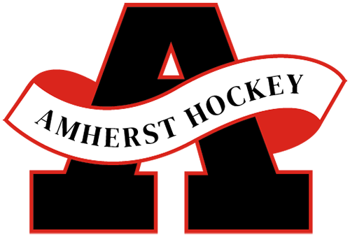 LeagueApps Member Portal