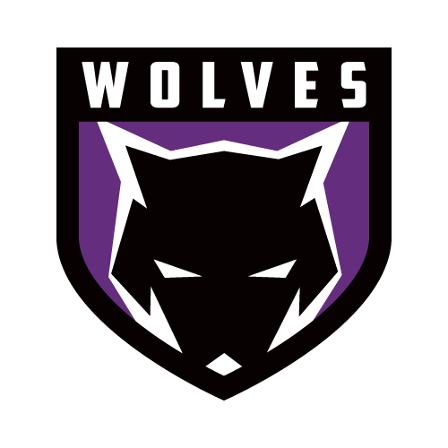 LeagueApps Member Portal