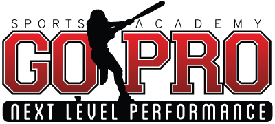 2024 Go Pro Baseball Tryouts : Go Pro Sports Academy