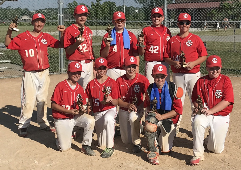 Little Hawks Baseball Club