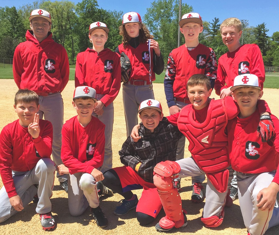 Little Hawks Baseball Club