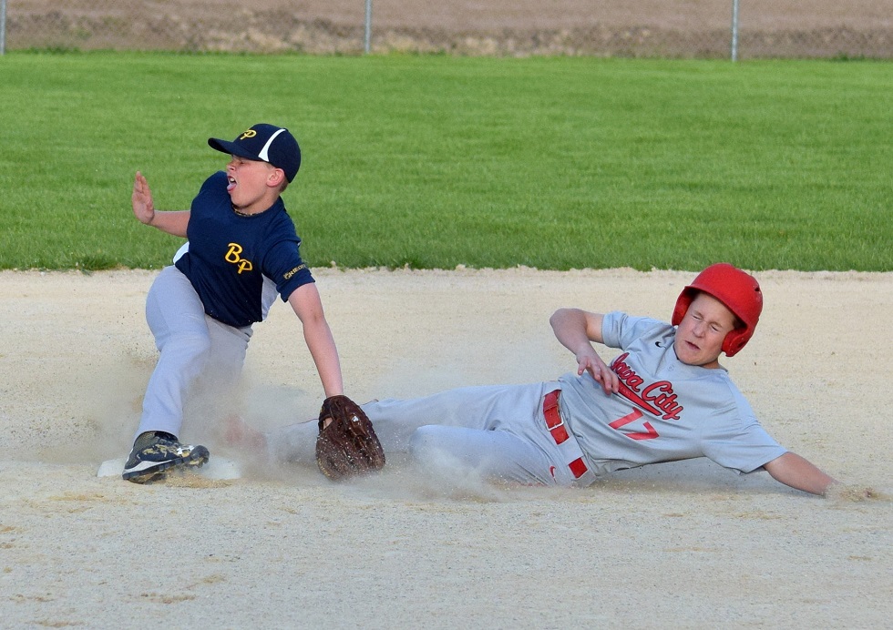 Little Hawks Baseball Club
